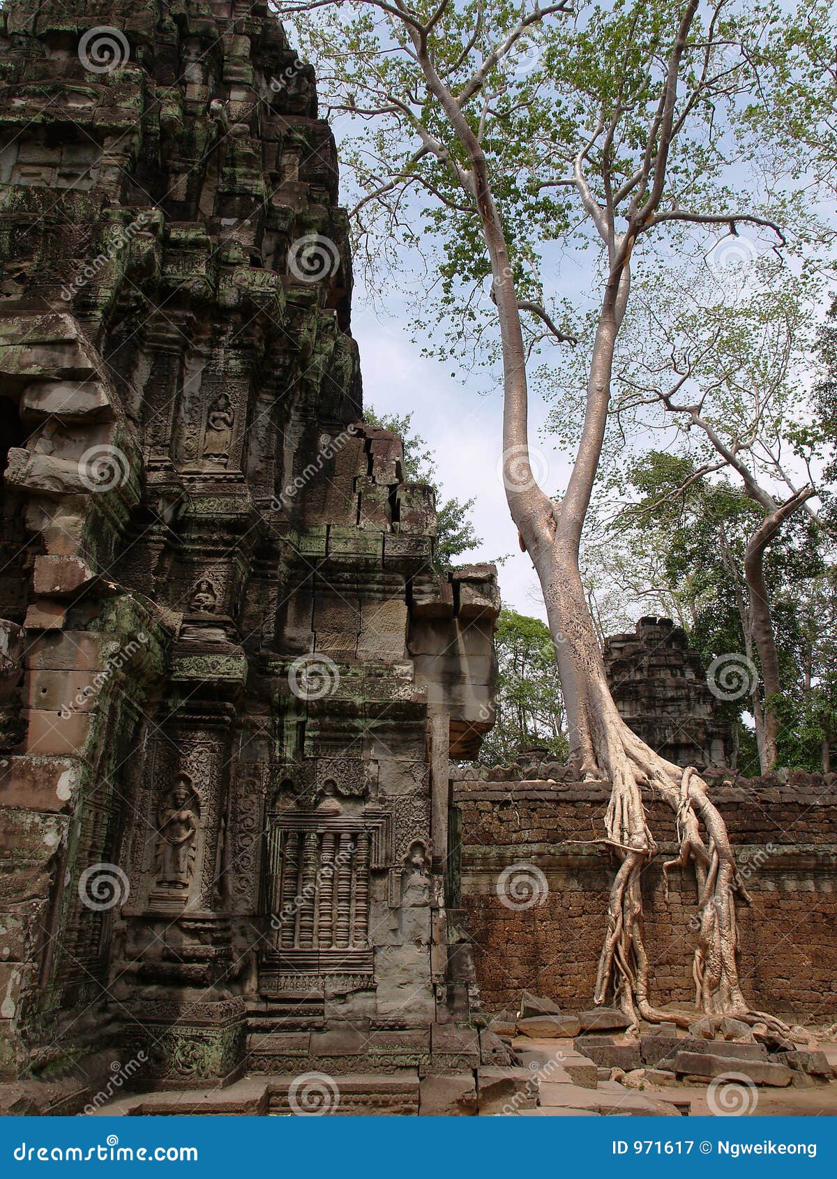 Ta Prohm, Siem Reap stock image. Image of buddhism, jungle - 971617