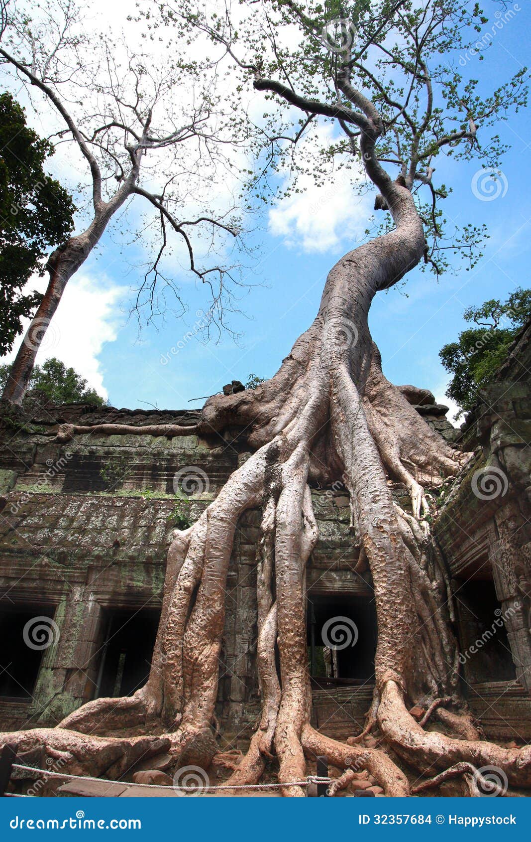 Ta Prohm stock photo. Image of corridor, roof, sight - 32357684