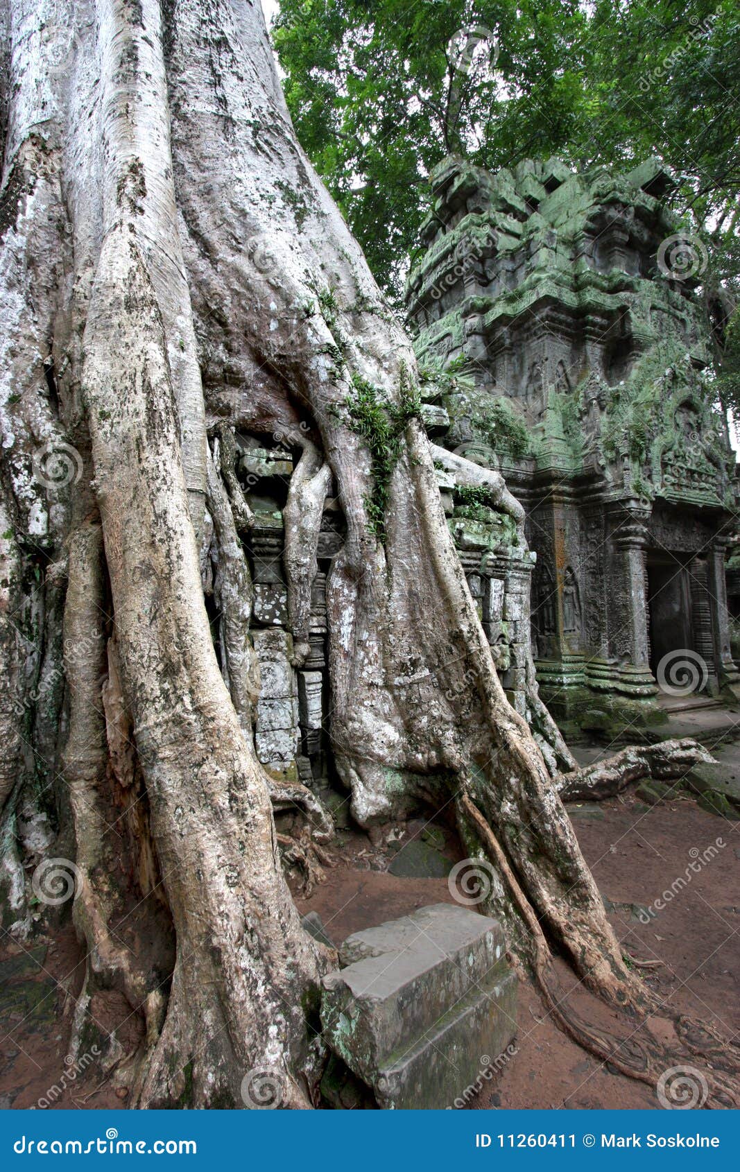 Ta Prohm Temple stock image. Image of croft, civilization - 11260411