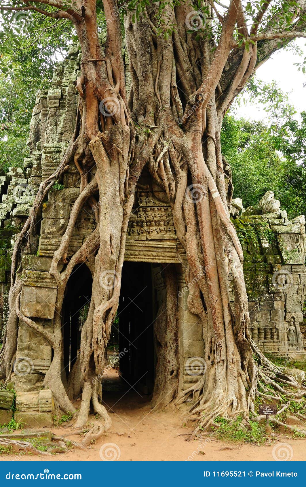 Ta Prohm temple stock image. Image of landmark, reap - 11695521
