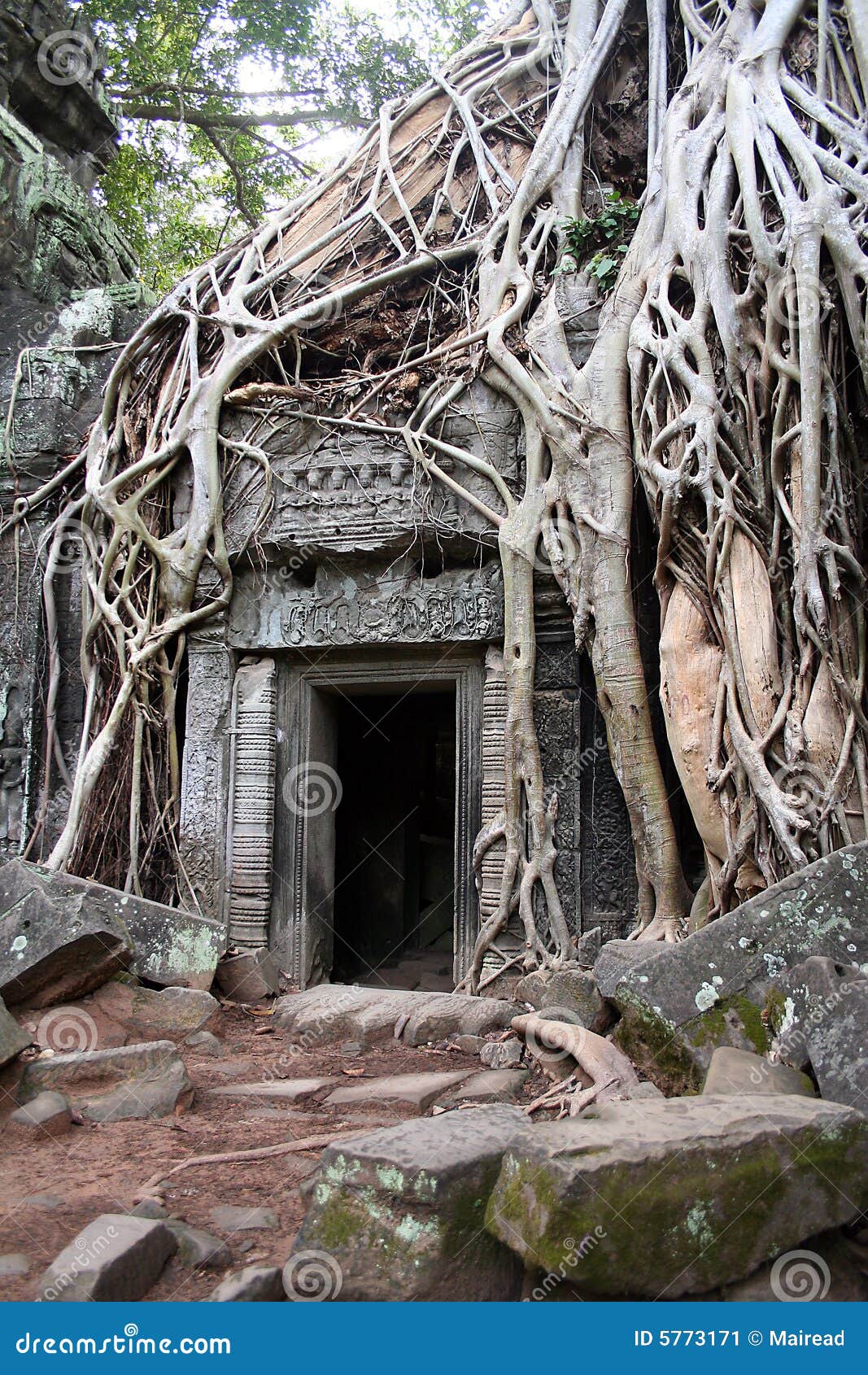 Ta Prohm Temple Royalty-Free Stock Photography | CartoonDealer.com ...