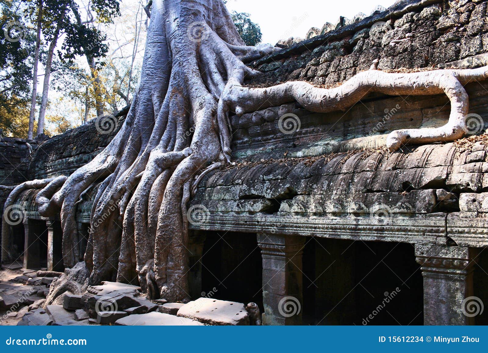Ta Prohm Temple,Angkor Royalty-Free Stock Photography | CartoonDealer ...