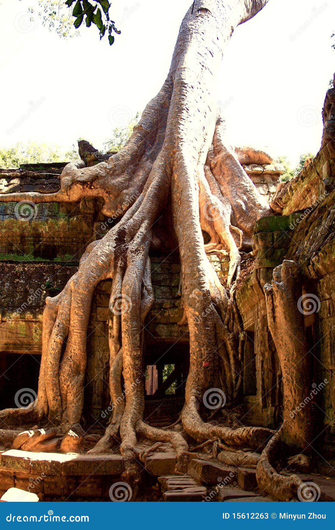 Ta Prohm temple,Angkor stock image. Image of gallery - 15612263