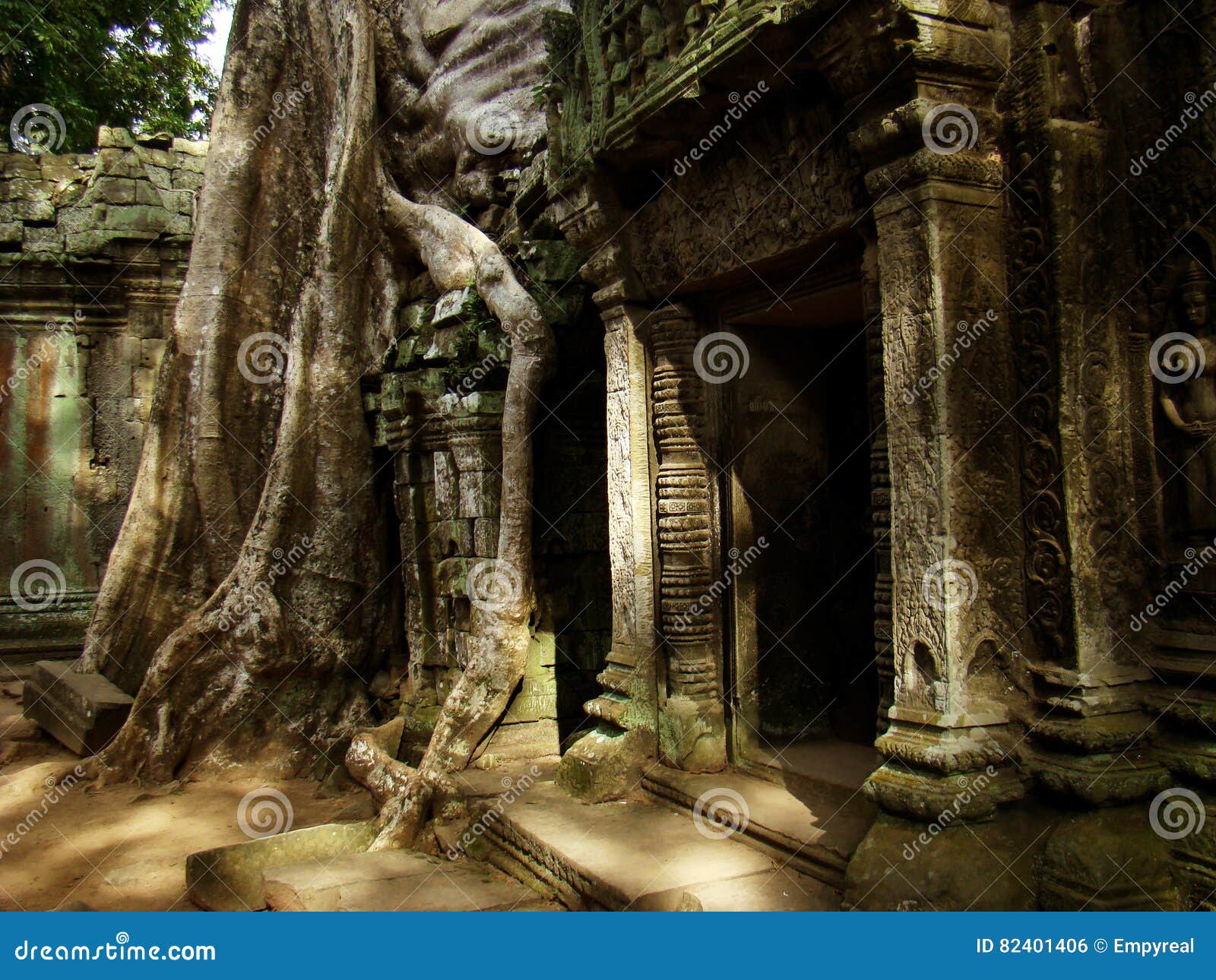 Ta Prohm stock photo. Image of asian, religion, reap - 82401406