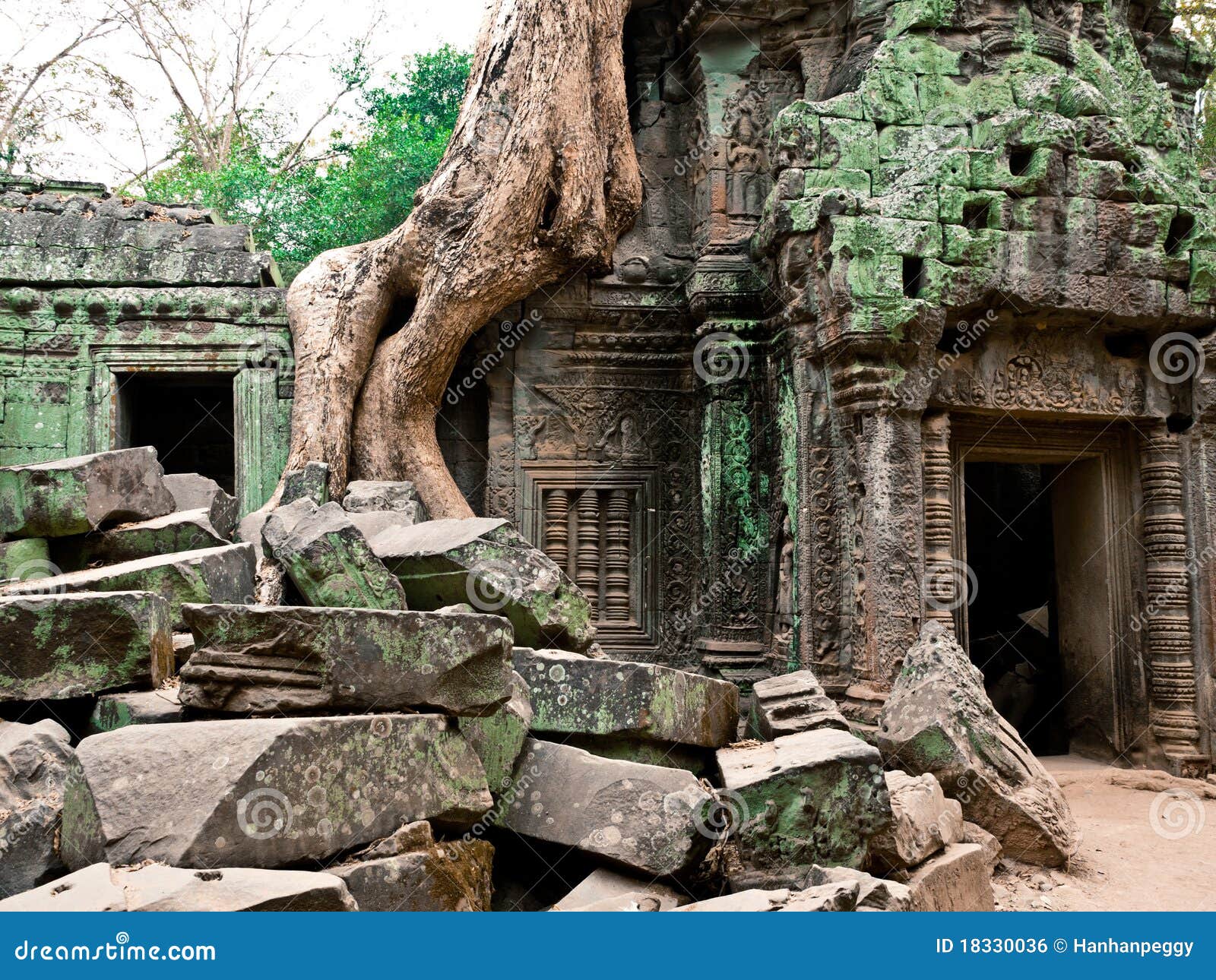 Ta Prohm Temple, Angkor Wat, Cambodia Stock Photo - Image of indigenous ...