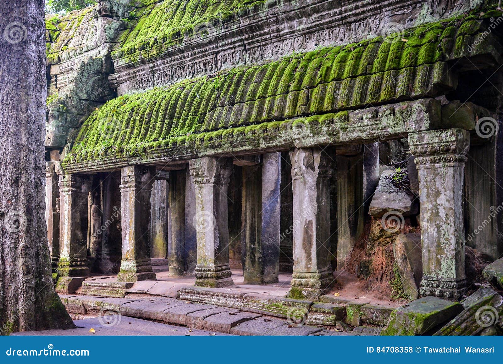 Ta Prohm temple, Cambodia stock photo. Image of mythology - 84708358