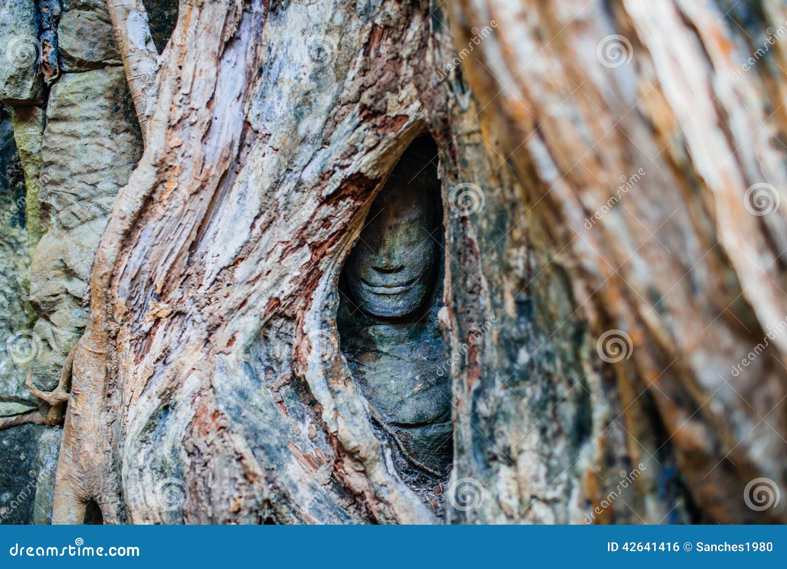 Ta Prohm temple stock photo. Image of khmer, location - 42641416