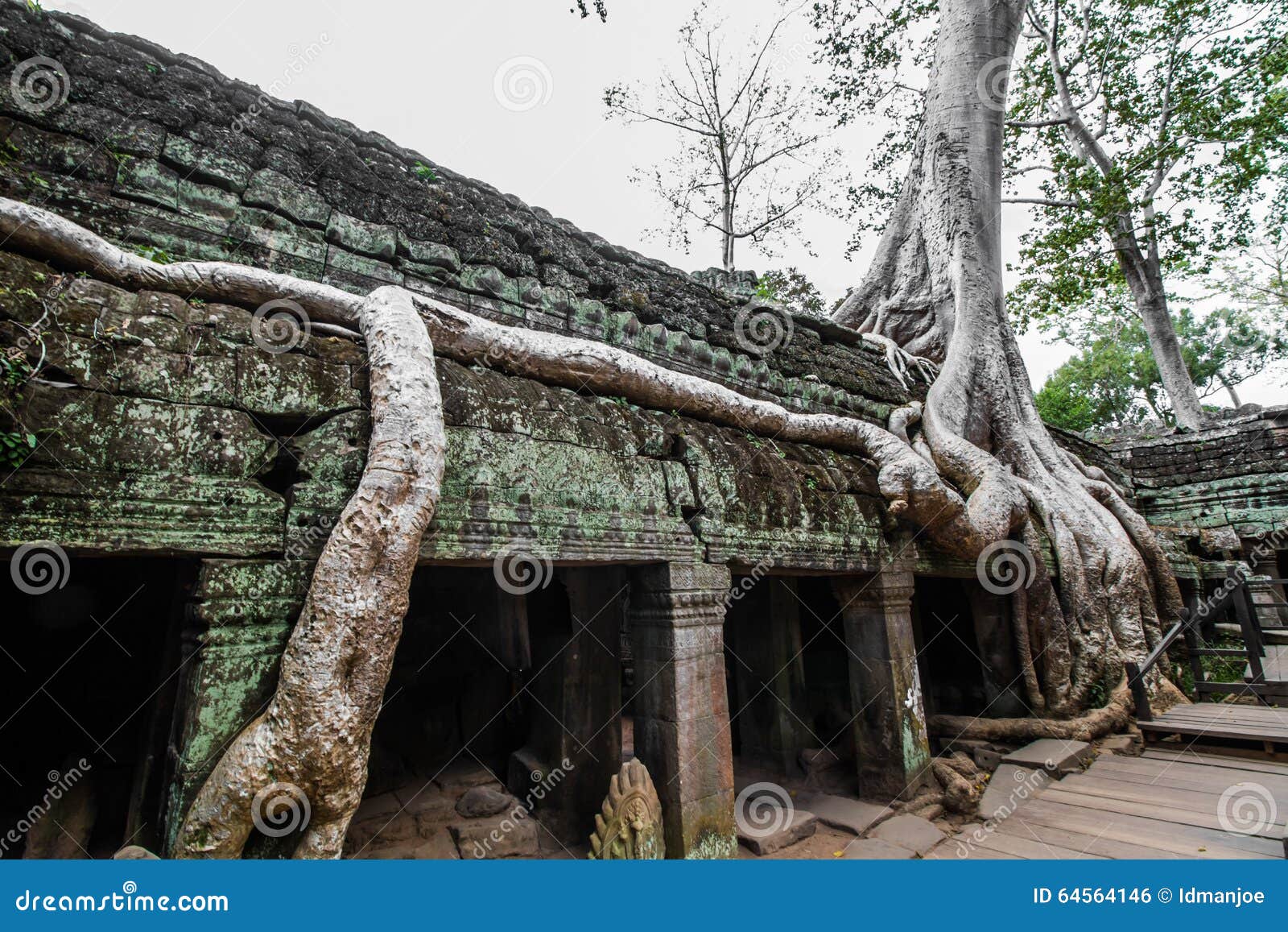 Ta Prohm temple stock photo. Image of monument, siem - 64564146