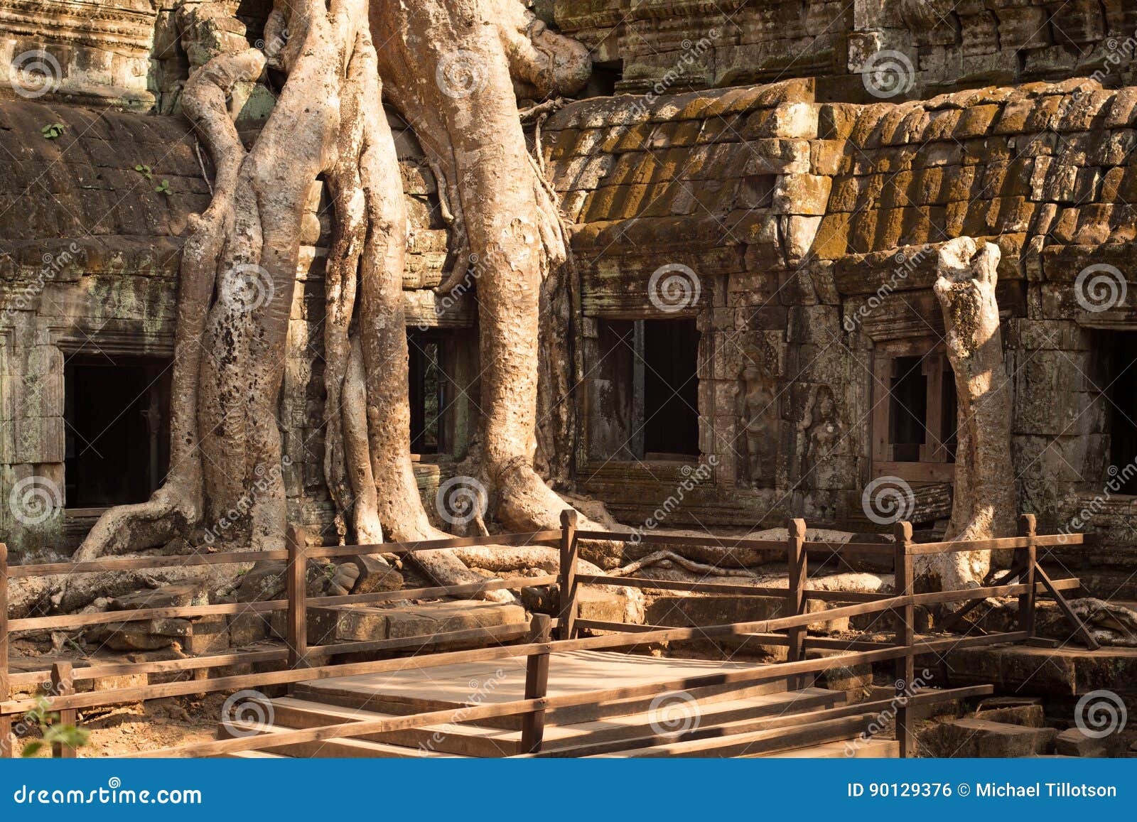Ta Prohm Temple Overgrown with Trees Stock Photo - Image of structure ...