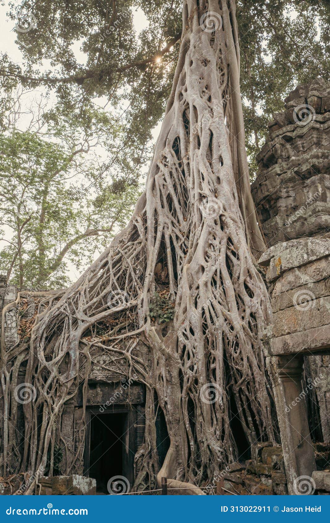 Ta Prohm Tomb Raider Temple in Angkor Complex Cambodia Stock Image ...