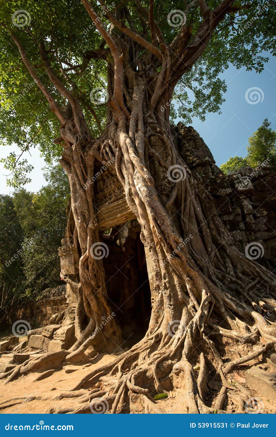 Ta Som Tree and door stock image. Image of ruins, architecture - 53915531
