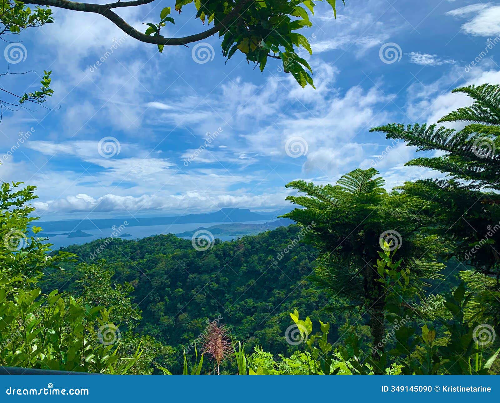 Taal Volcano Magnificent View with Tree Branch Frame Stock Photo ...