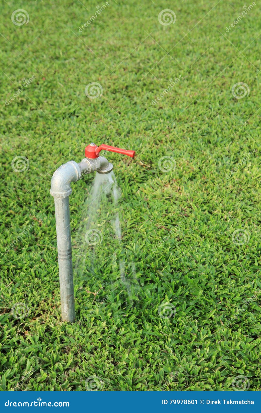 Tab Water Flowing Out from the Tab To Green Grass Stock Image - Image ...
