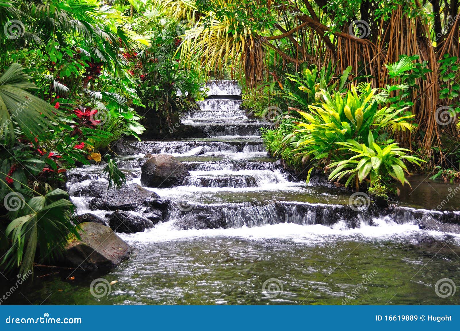 Tabacon Hot Springs, Costa Rica Stock Image - Image of climate, heal ...