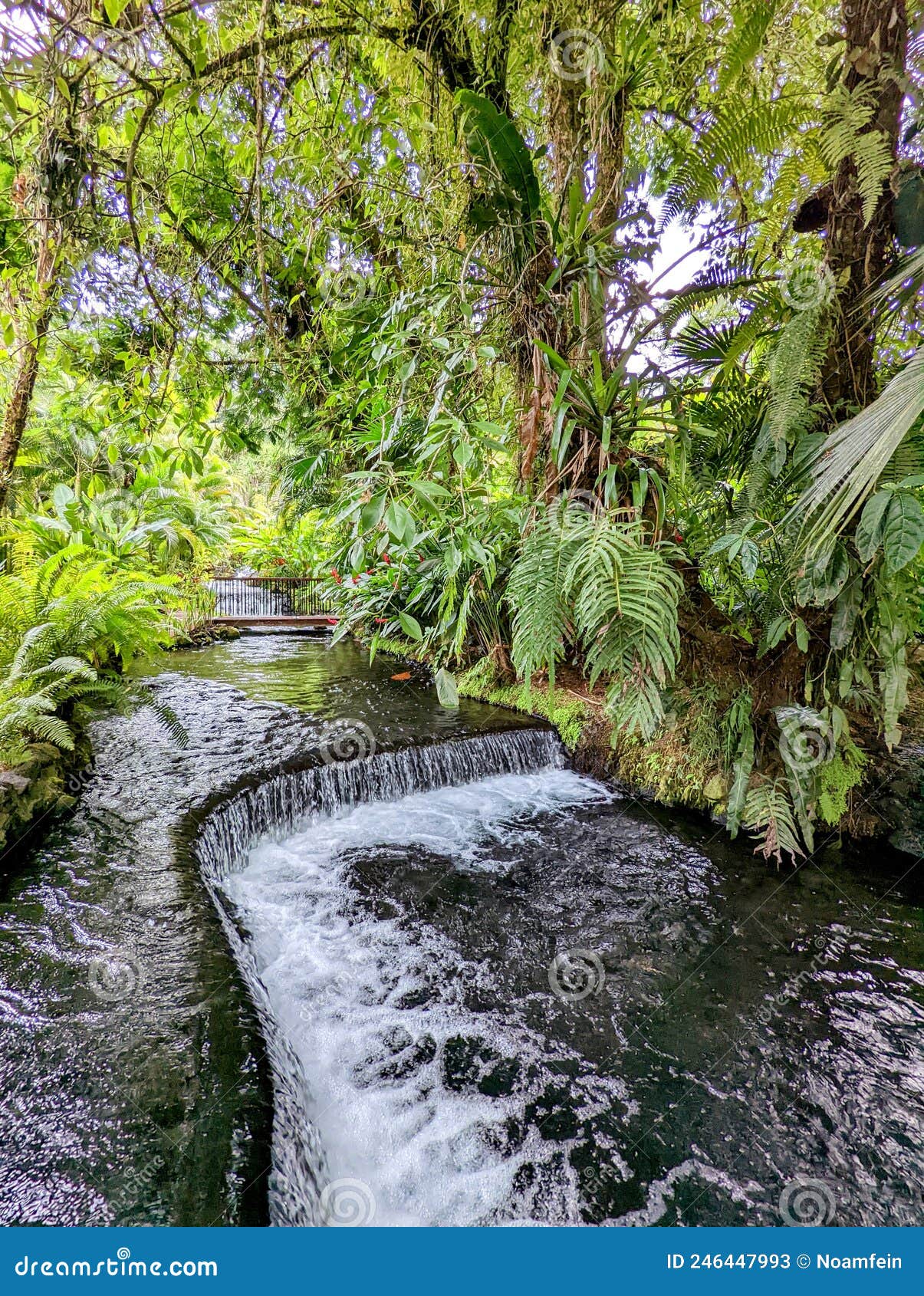 Tabacon Thermal Hot Springs Stock Image - Image of springs, tabacon ...