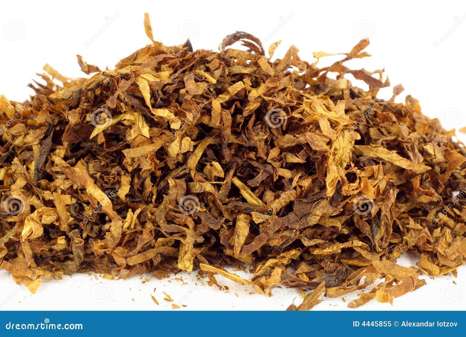 Tabak. stock afbeelding. Image of blad, droog, bladeren - 4445855