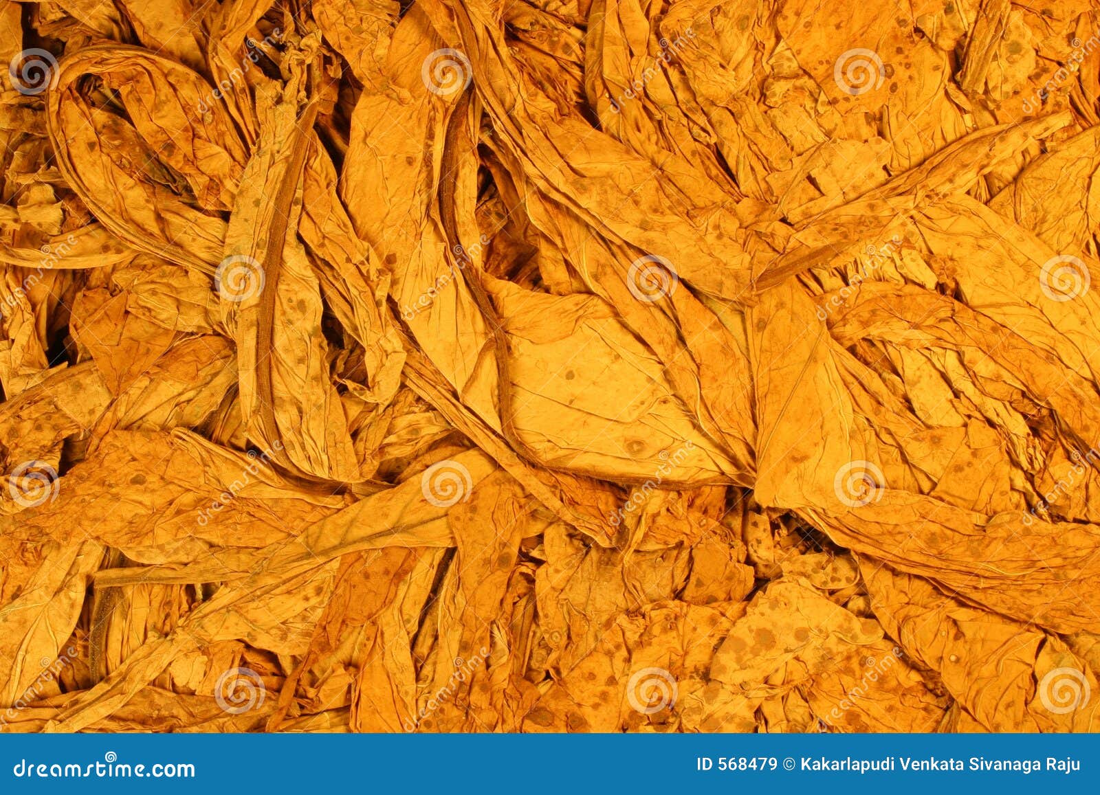 Tabak stock afbeelding. Image of gouden, waarschuwing, tabak - 568479