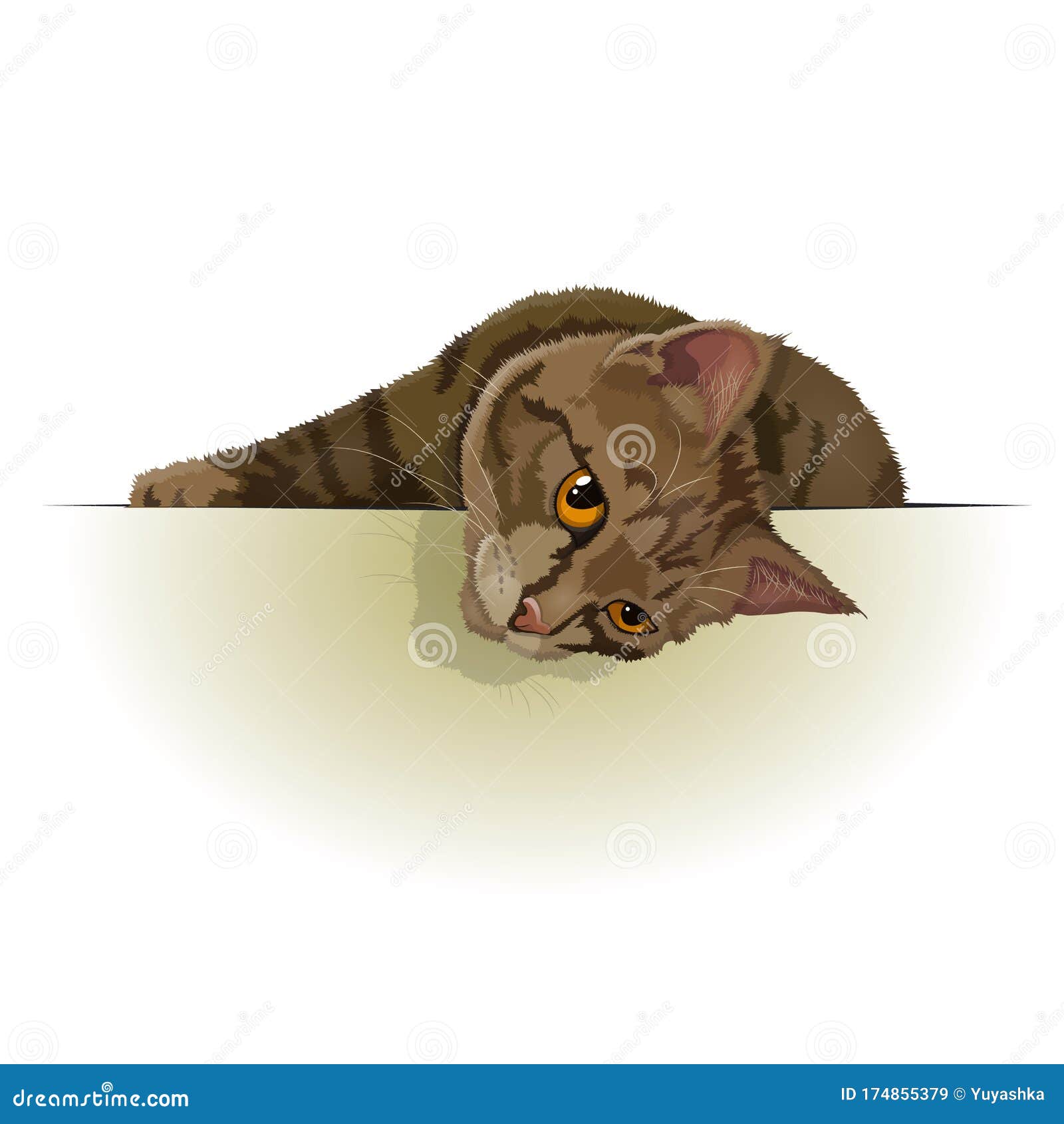 Tabby cat stock vector. Illustration of pointer, contour - 174855379