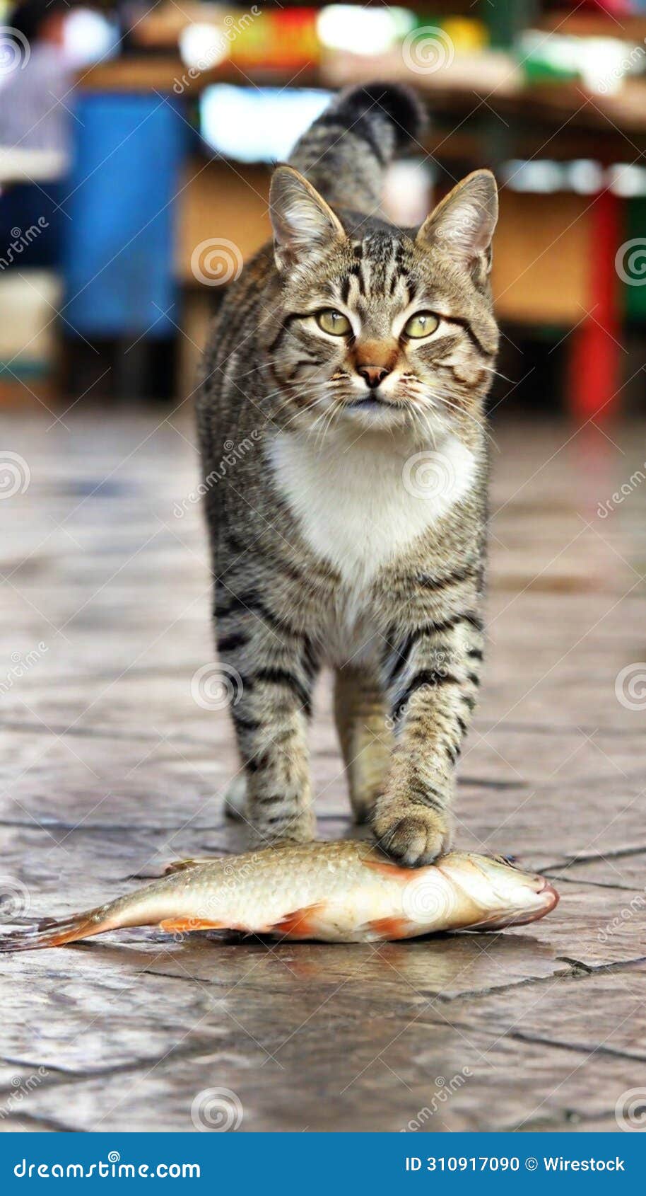 Tabby Cat Walking on Tiled Floor Holding Upturned Fish, AI-generated ...