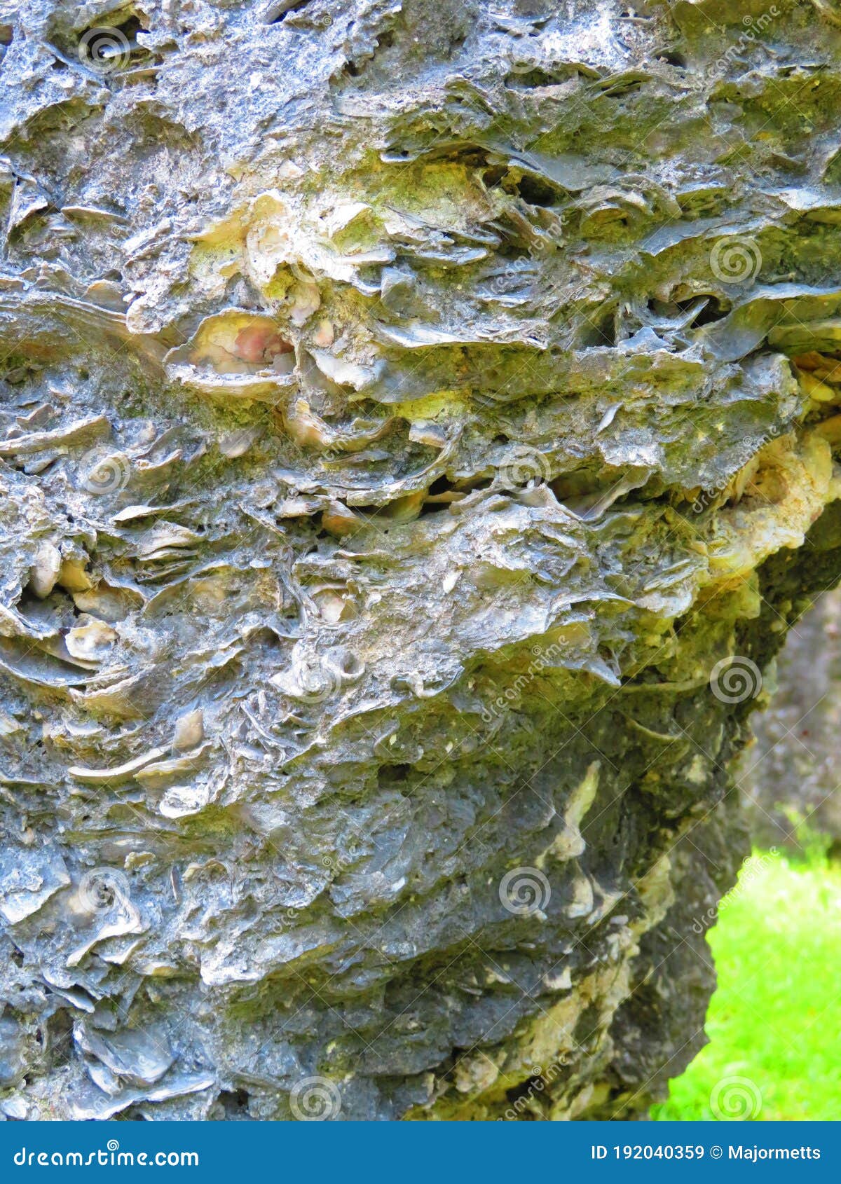 Clam Shell And Concrete Property Wall With Hanging Clay Pots And An ...