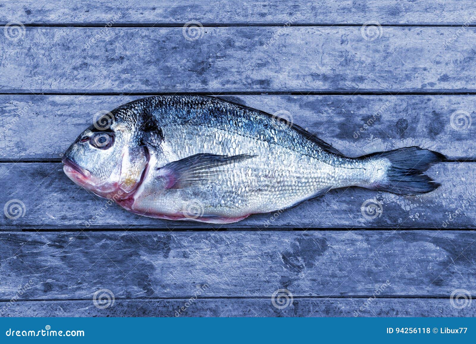 Tabela De Madeira Dos Peixes Crus Do Sargo Foto de Stock - Imagem de ...