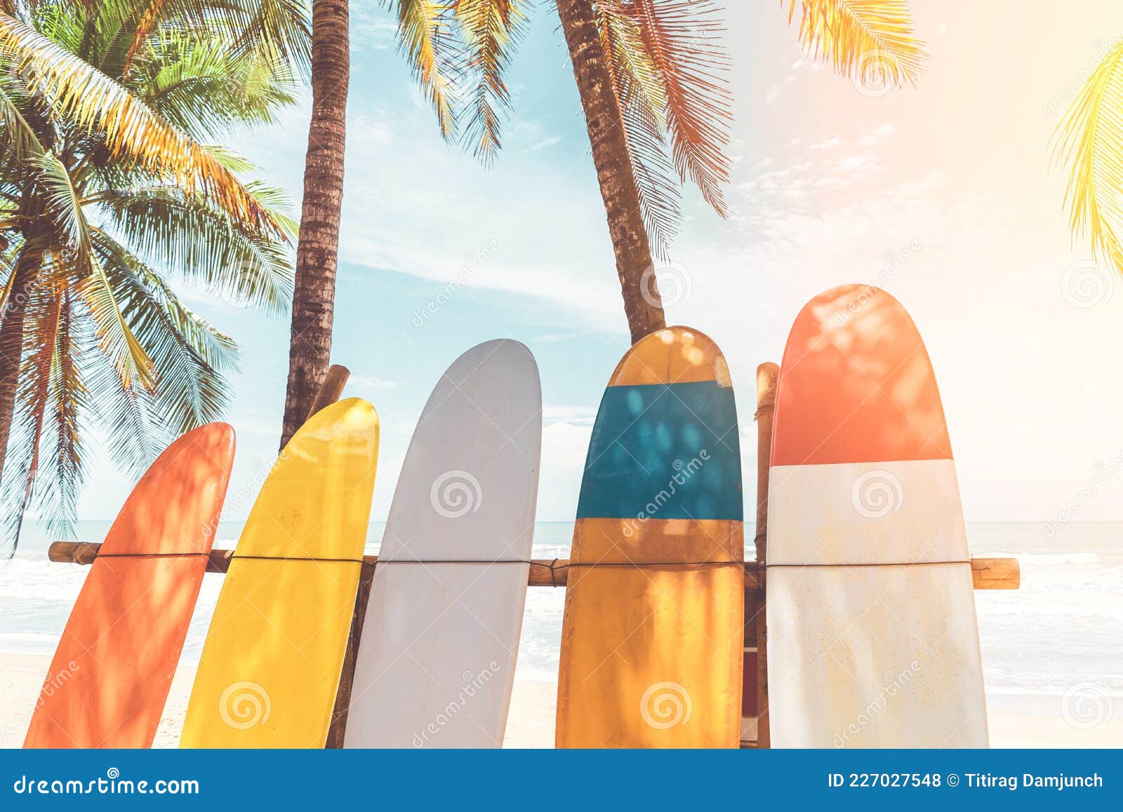 Tablas De Surf Y Palmeras En El Fondo De La Playa Foto de archivo ... Tablas De Surf Y Palmeras En El Fondo De La Playa Foto de archivo ...
