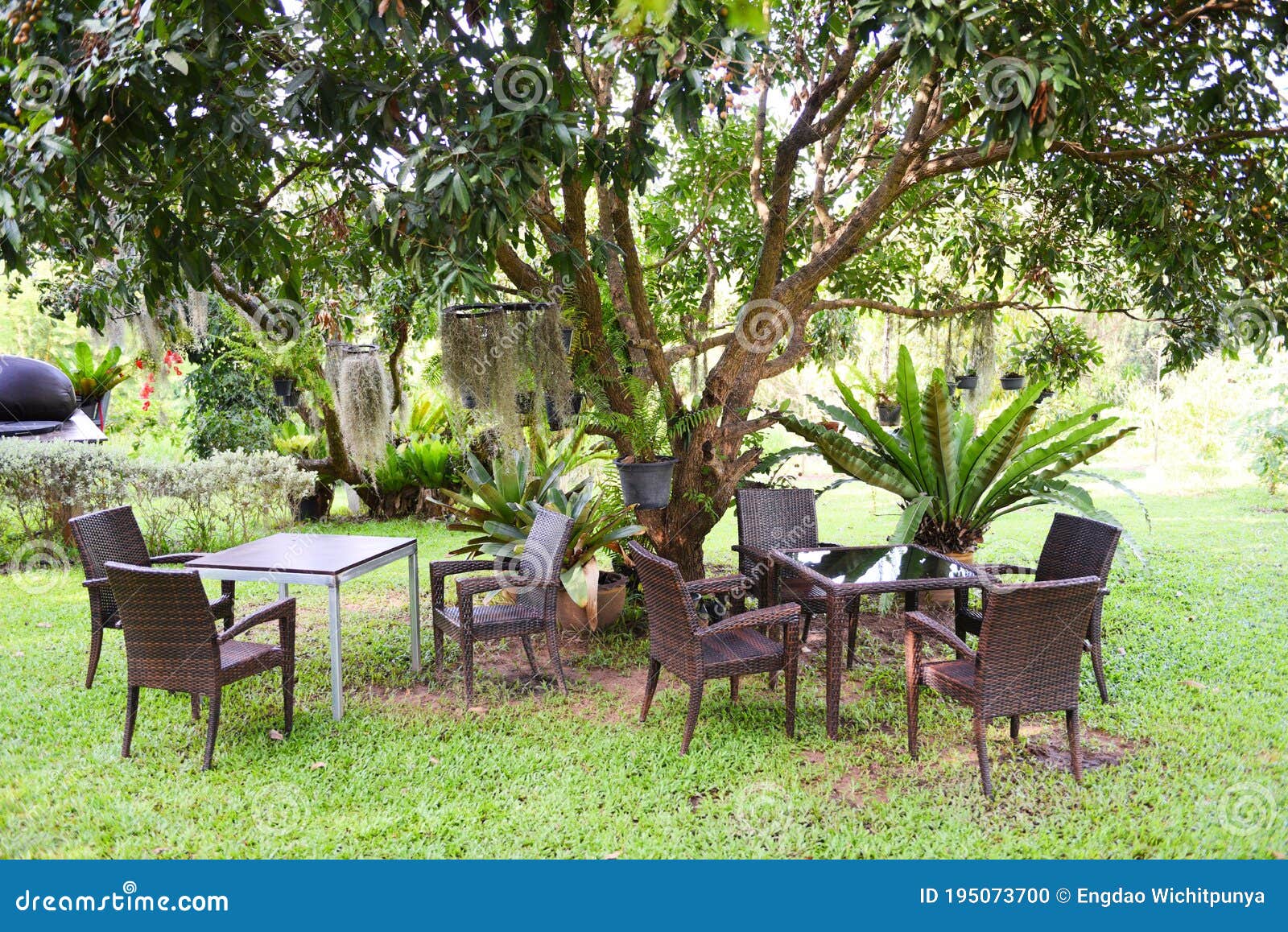 Table Chair Outdoor Nature Green Background - Table and Chairs in the ...