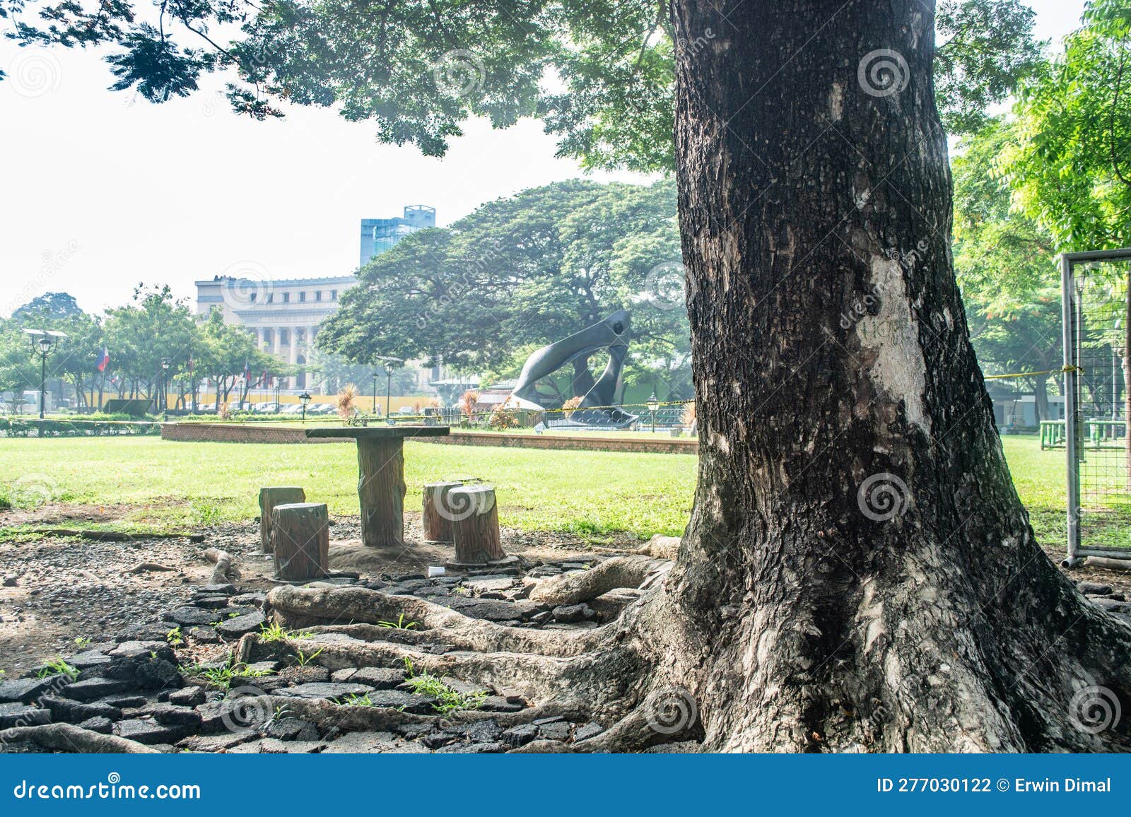 Table and Chairs Under a Tree at the Rizal Park Editorial Photography ...