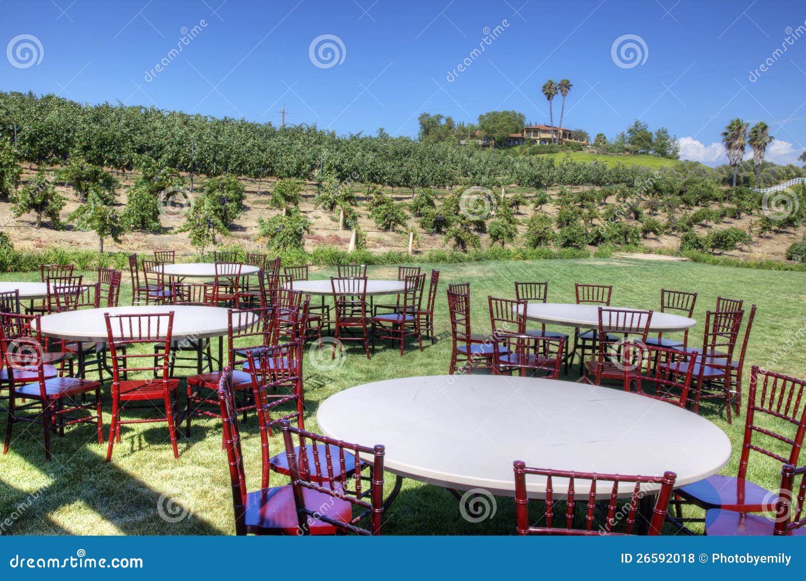 Table and Chairs in Vineyard Stock Photo - Image of blue, grape: 26592018