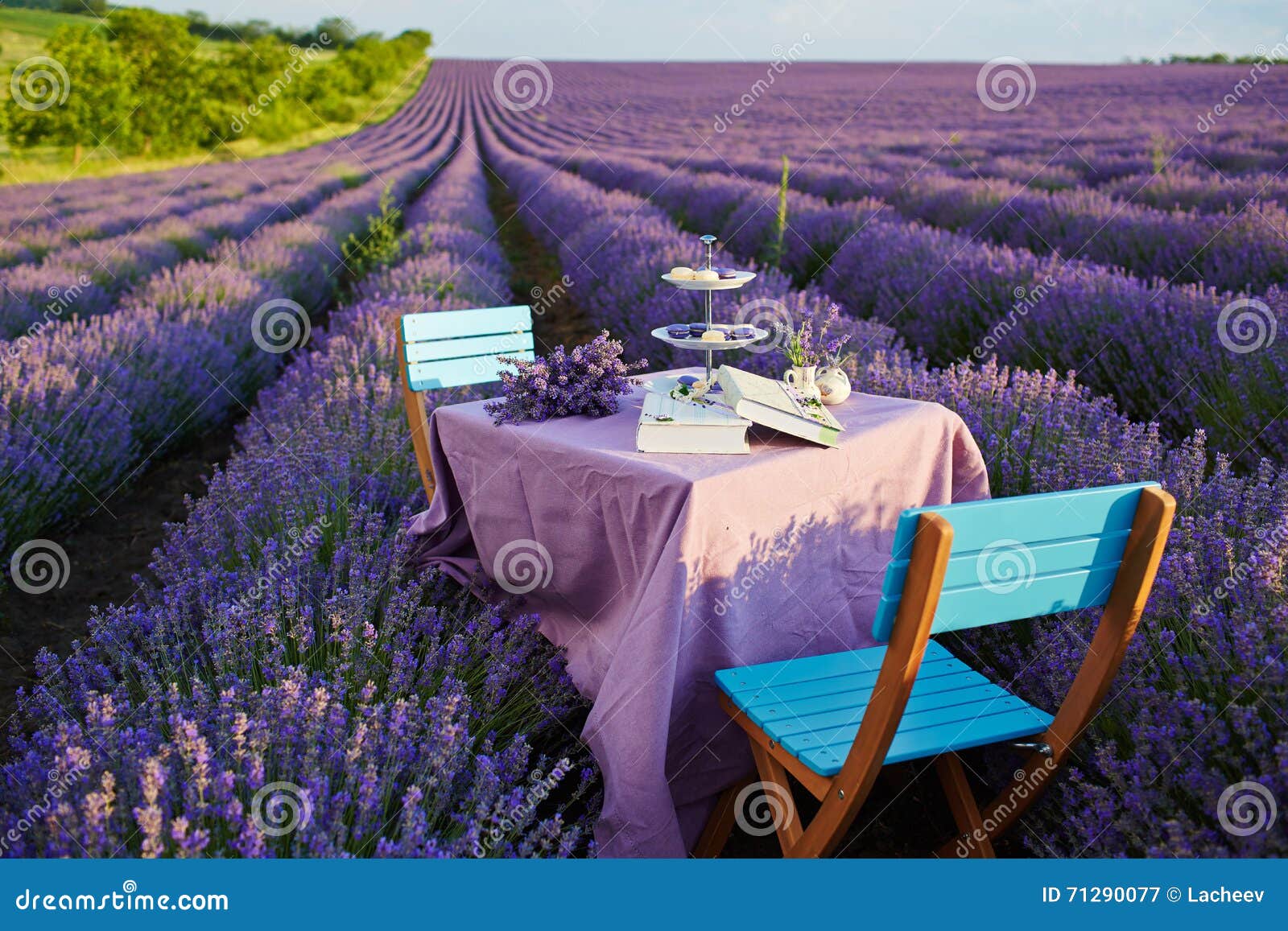 Table Decoration in Lavender Flowers. Stock Image - Image of ...