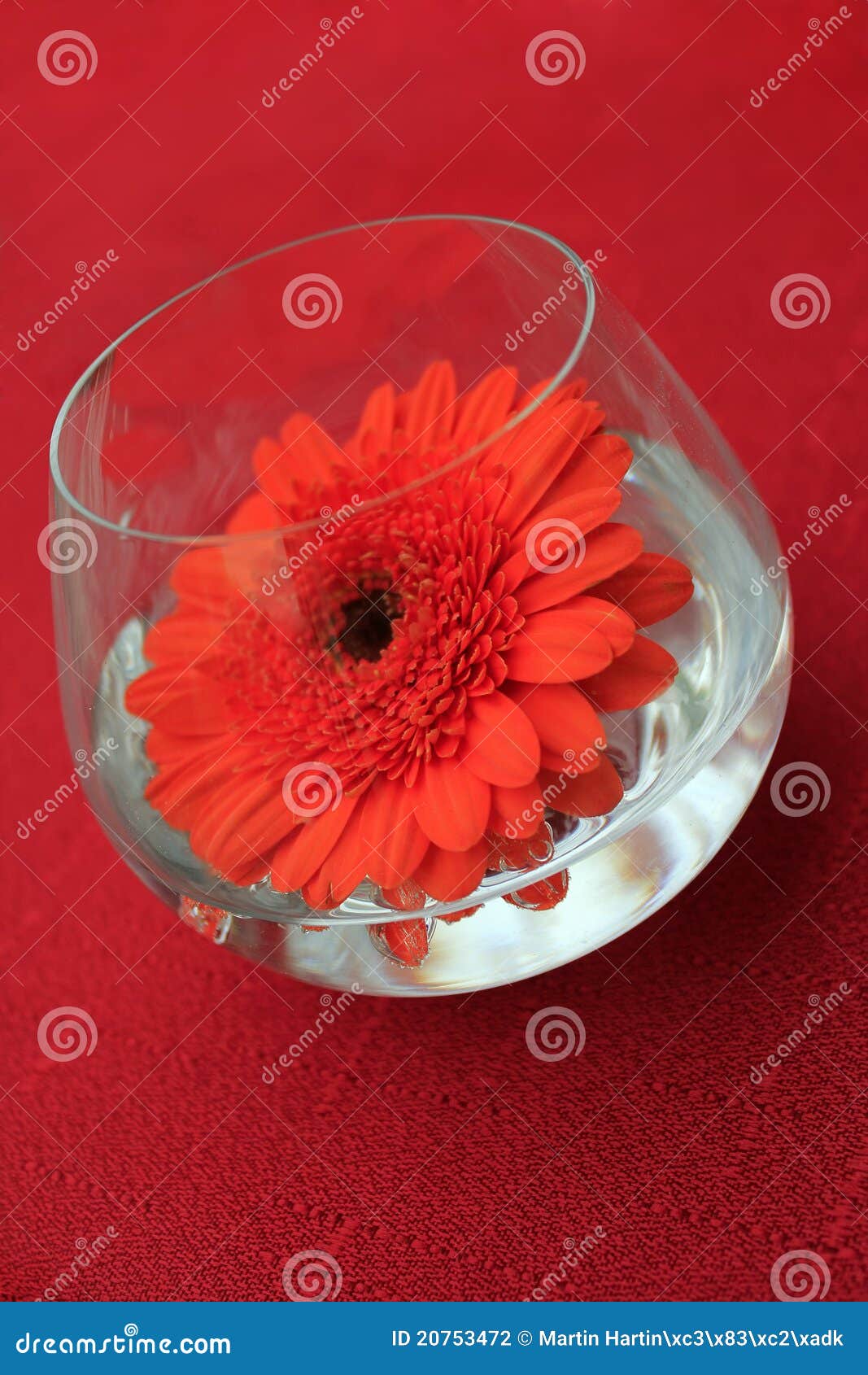 Table Decoration, Red Flower Stock Photo - Image of cloth, beautiful ...