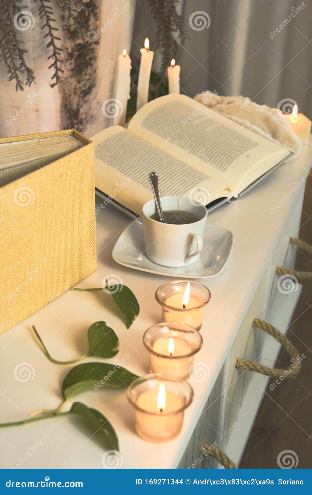 A cup of tea and a reading stock photo. Image of relax - 169271344
