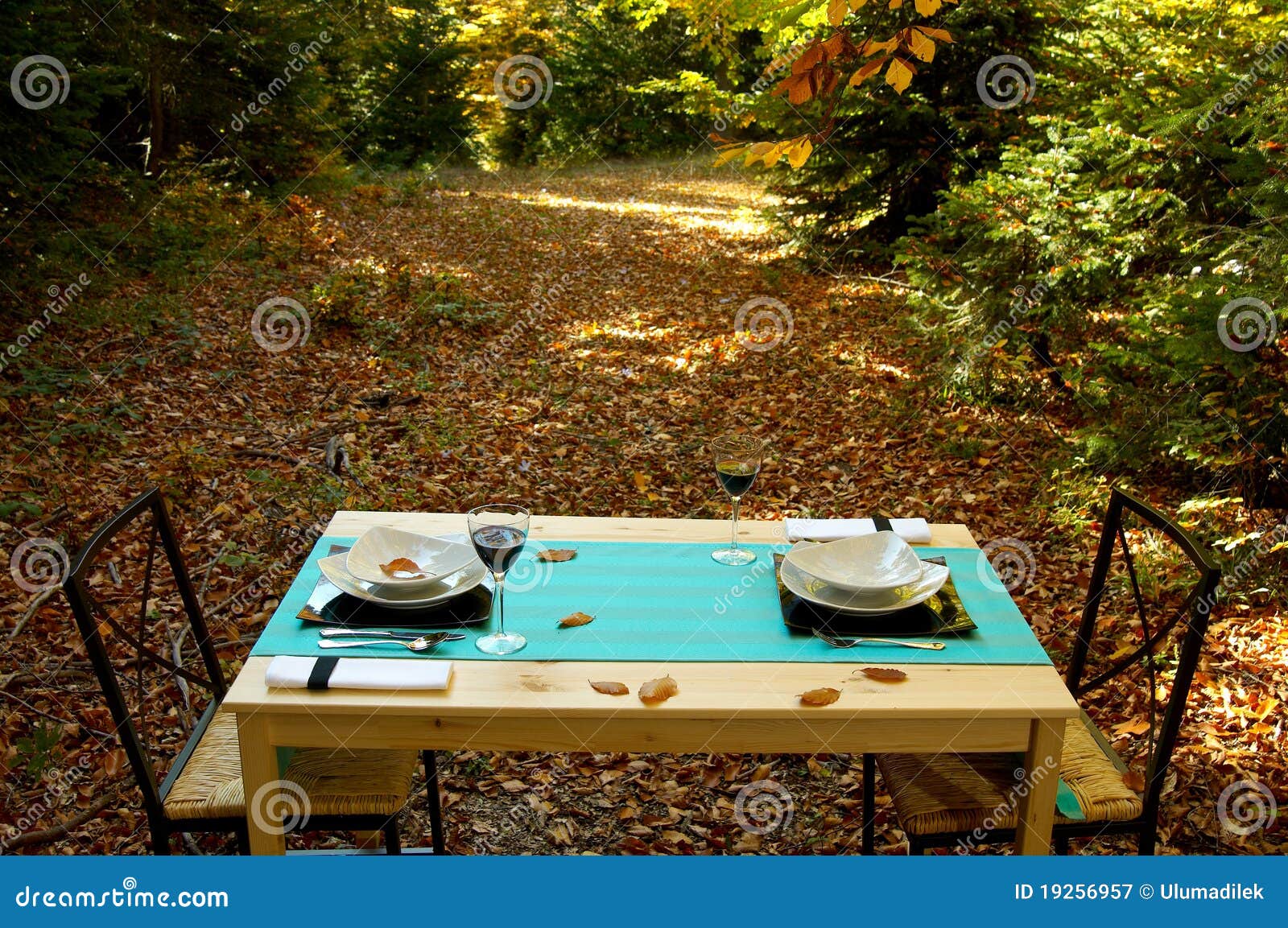 Table in forest stock image. Image of tablecloth, luxury - 19256957