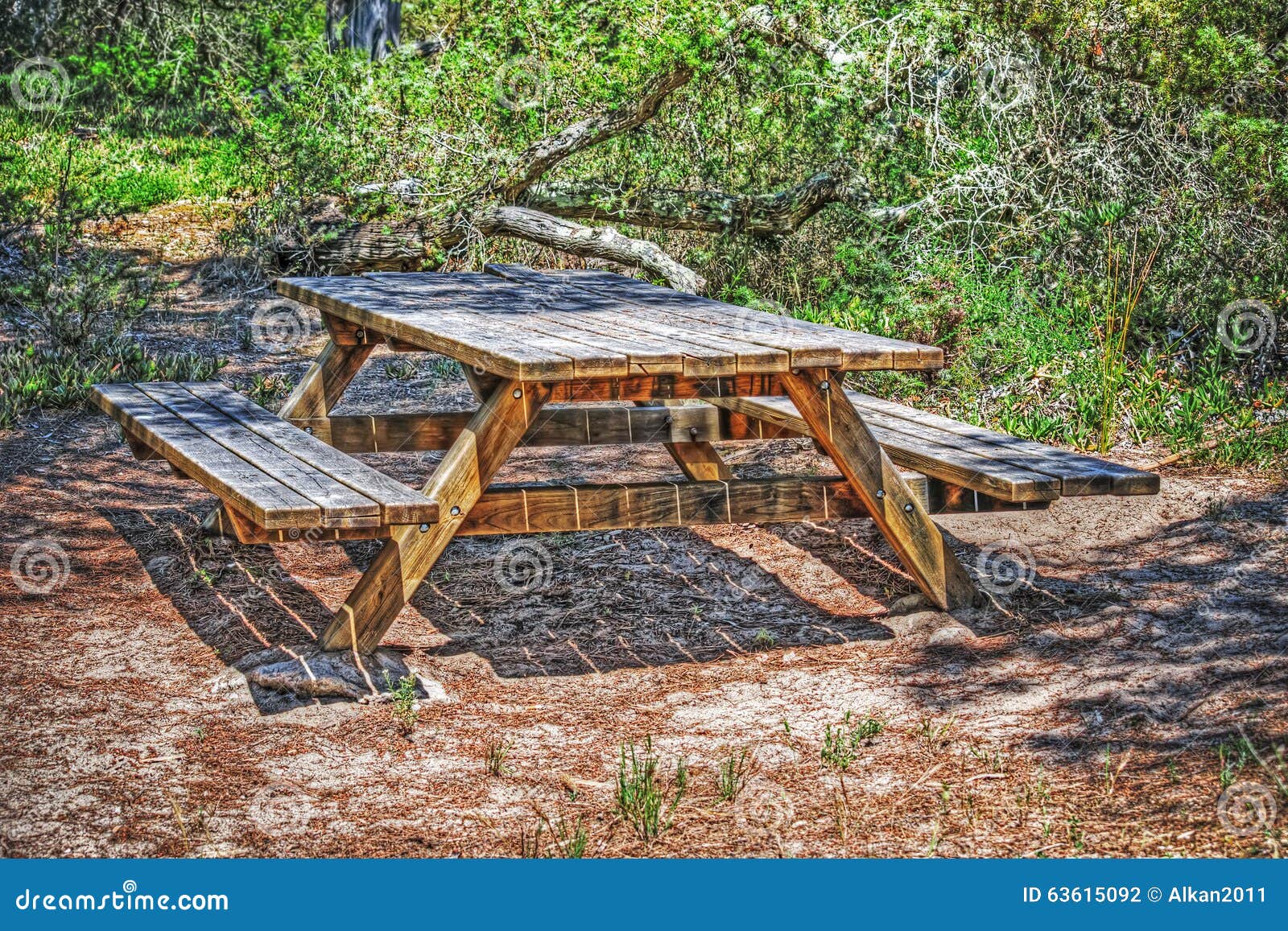 Table in the forest stock photo. Image of place, breakfast - 63615092