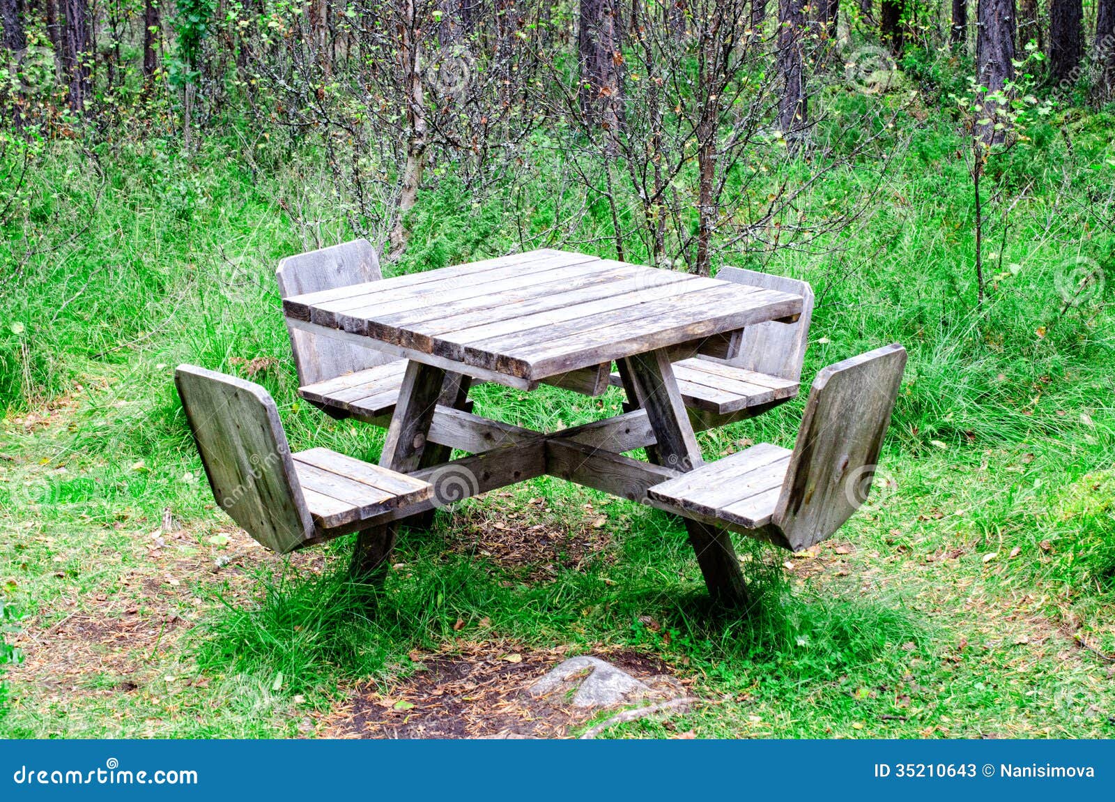 Table in Forest at Rest Area Stock Image - Image of campground, nature ...
