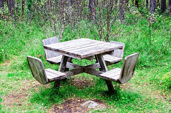 Table in Forest at Rest Area Stock Image - Image of campground, nature ...