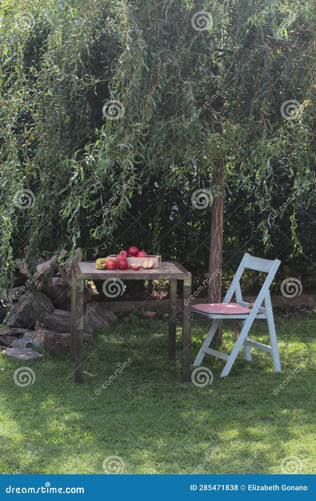 Table with Fruits and a Chair Under the Tree in the Garden Stock Photo ...