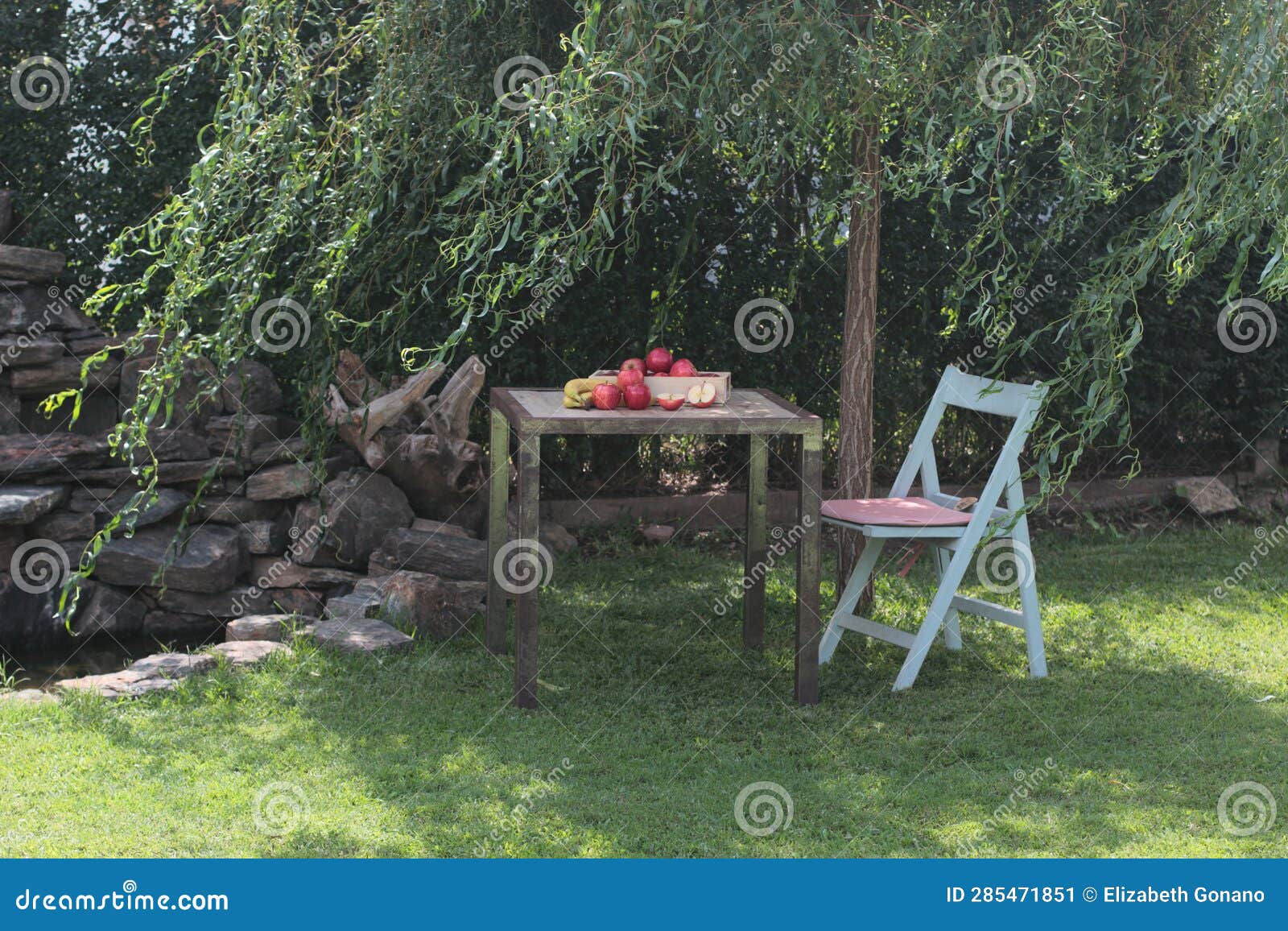 Table with Fruits and a Chair Under the Tree in the Garden Stock Image ...