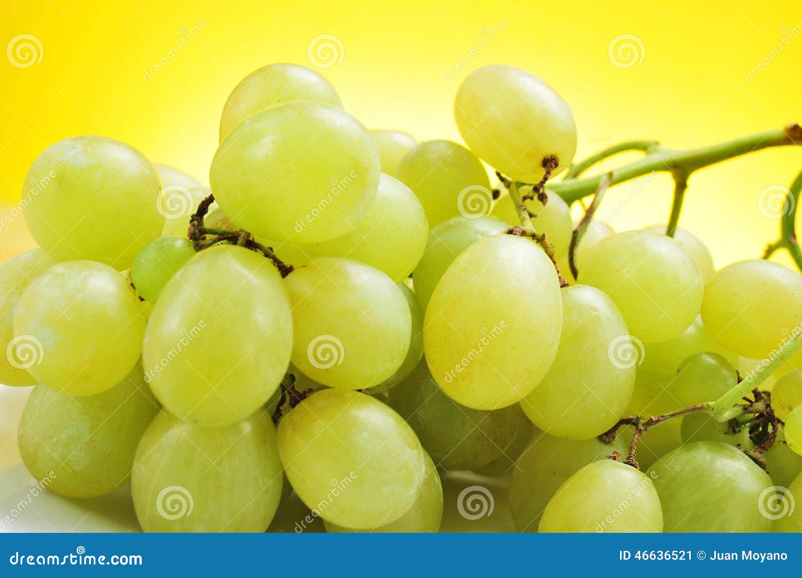 Table grapes stock image. Image of farming, flavonols - 46636521