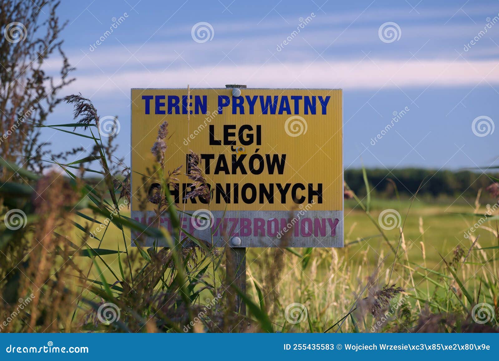 TABLE INFORMATION editorial stock photo. Image of information - 255435583