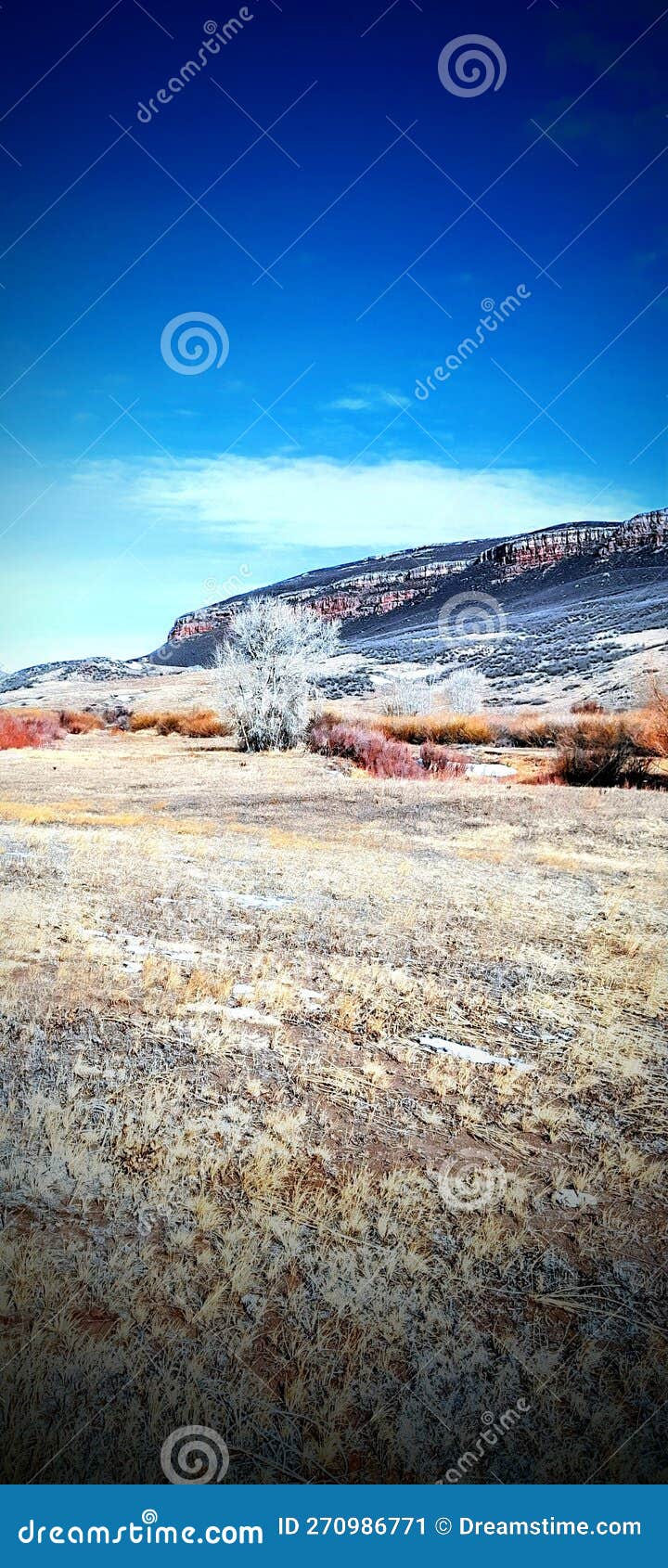 Table Mountain Backroads of Wyoming Stock Image - Image of rock, coast ...