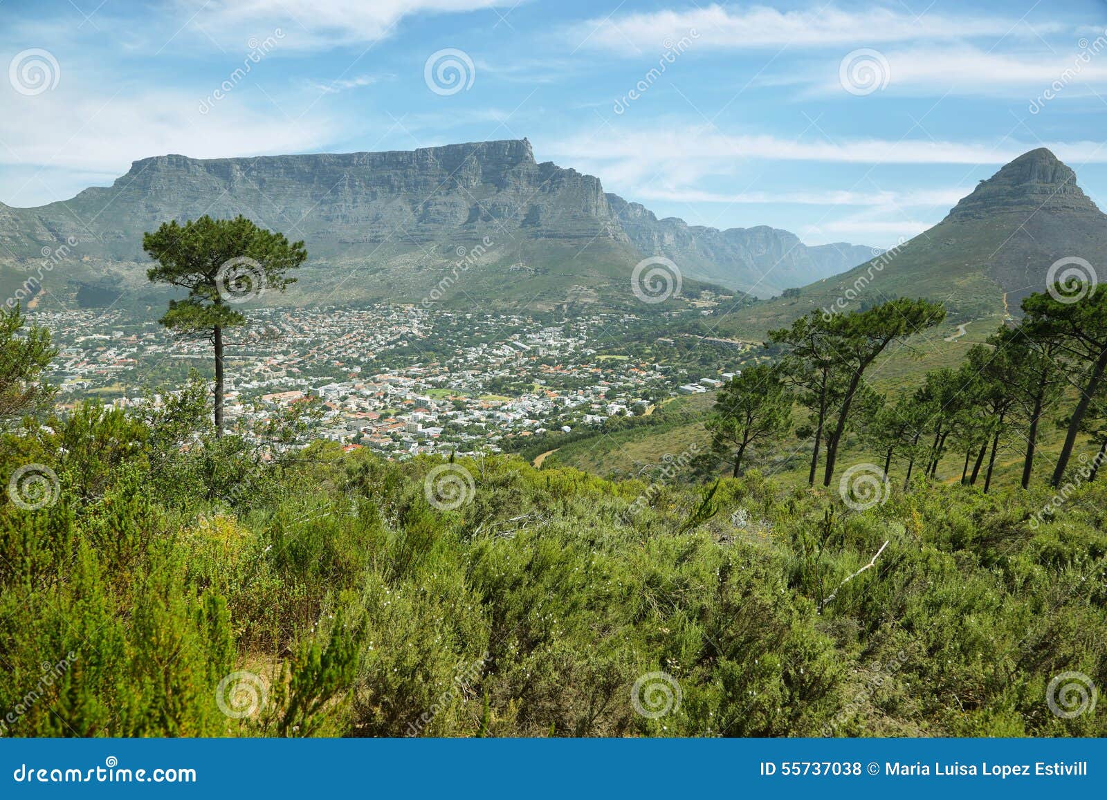 Table Mountain from Signal Hill Stock Photo - Image of downtown, scenic ...