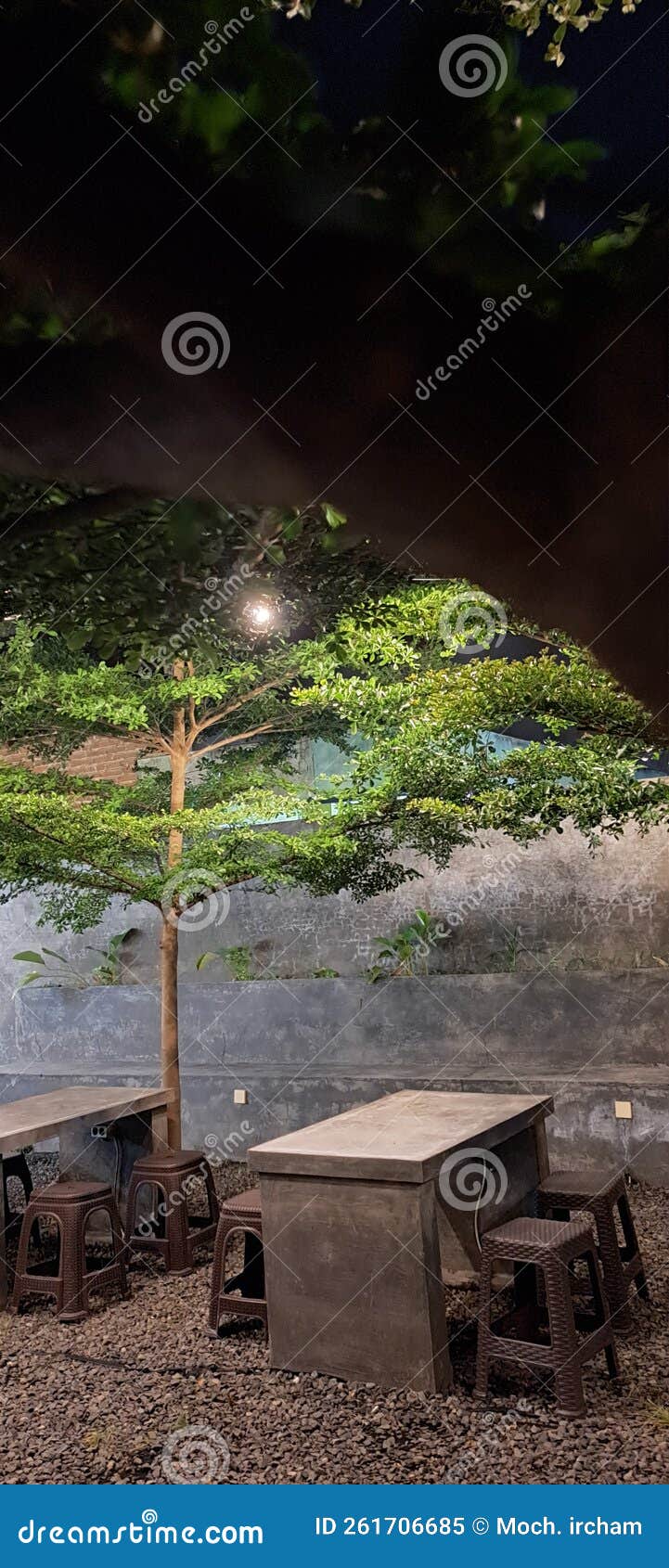 The Table Not Complete without Chairs Stock Image - Image of jungle ...