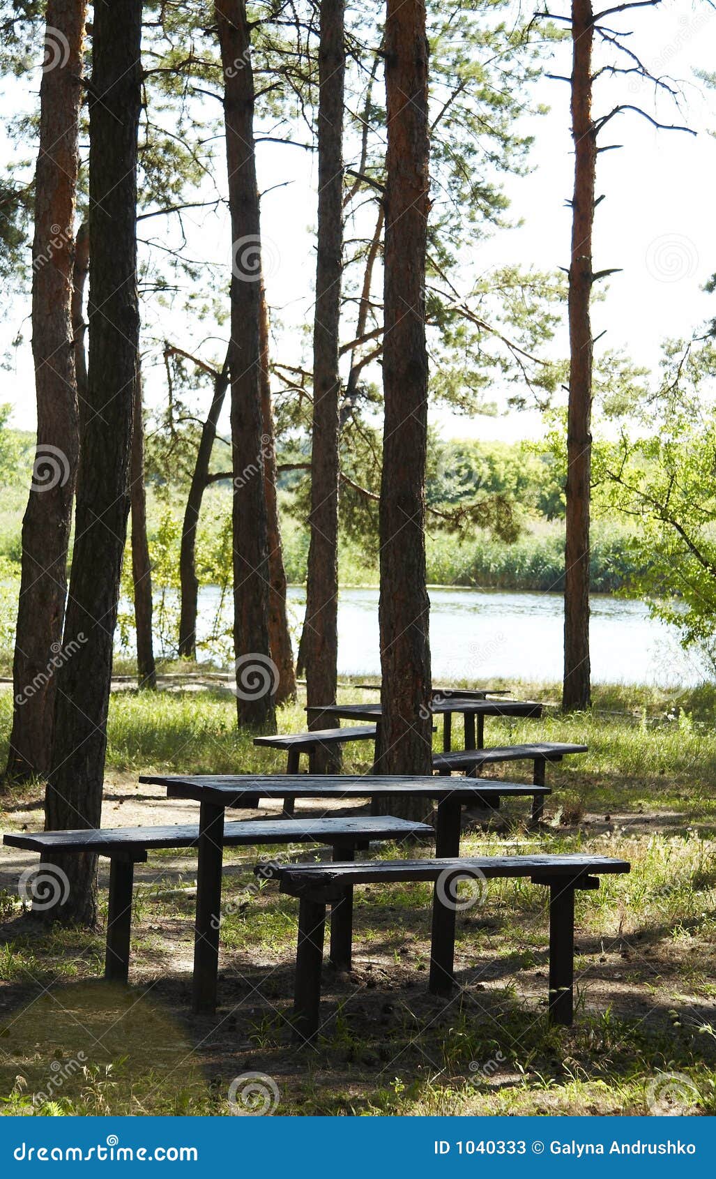 Table in the Park stock image. Image of active, green - 1040333