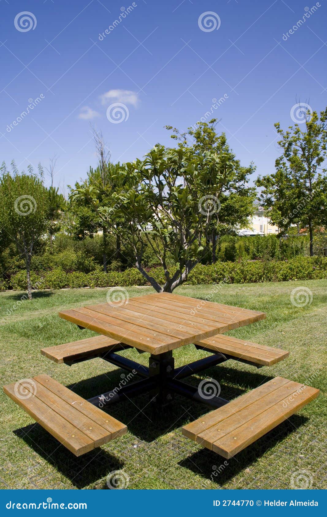 Table on the park stock photo. Image of empty, blue, evening - 2744770