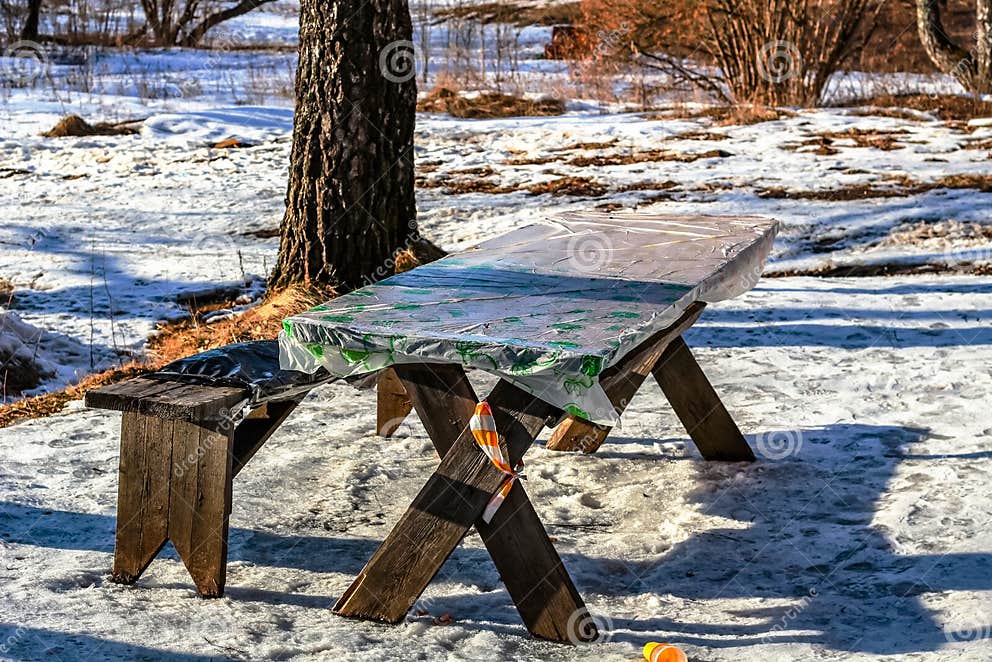 Christmas Tree Branches in the Beginning of SpringTable for Picnics in ...