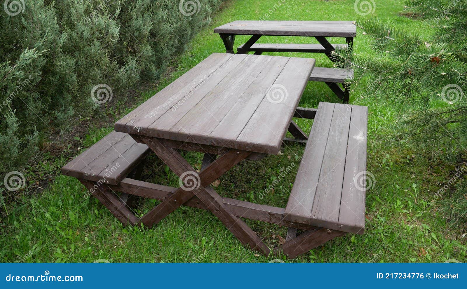 A Table with Seats for a Picnic and Rest Stands on a Green Meadow ...