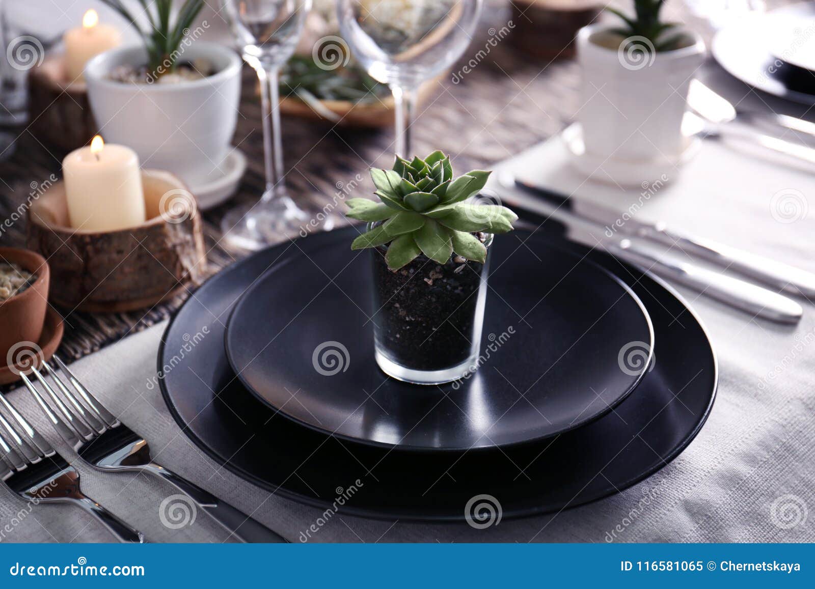 Table Served with Succulents Stock Image - Image of decor, evening ...