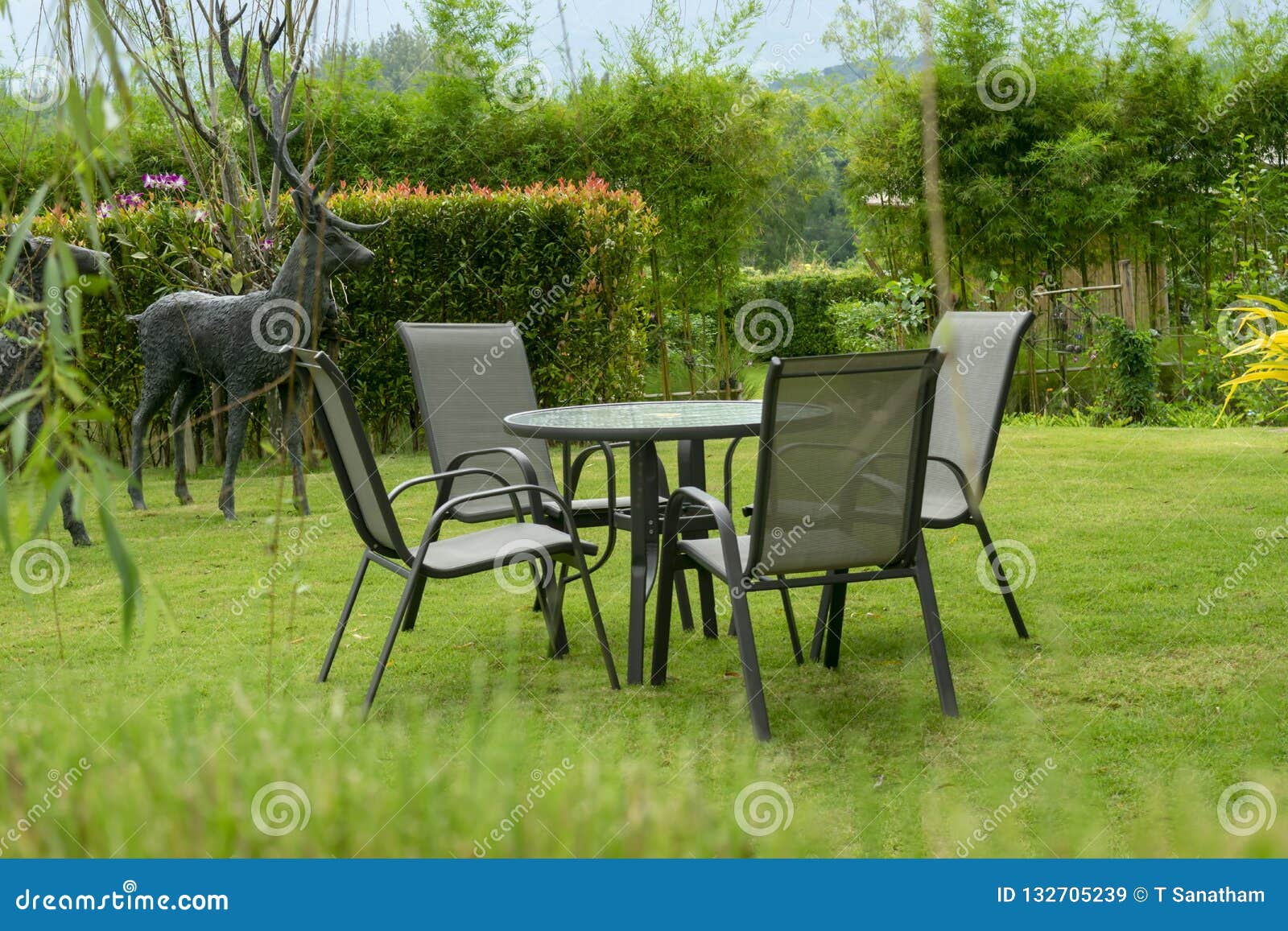 Table set in the grass. stock image. Image of modern - 132705239