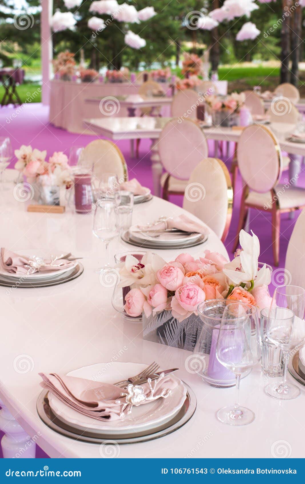 Table Set for Wedding or Another Catered Event Dinner Stock Image ...
